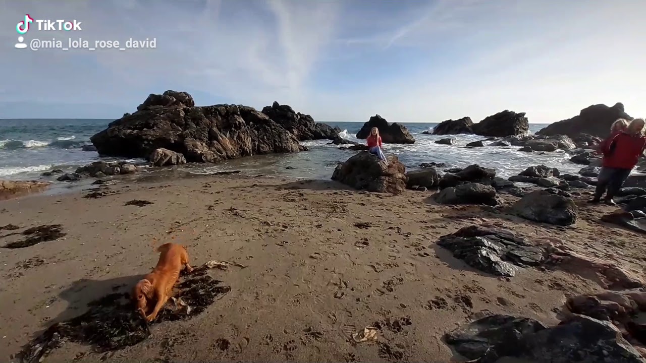 Kugger- Cornwall 2020 - YouTube