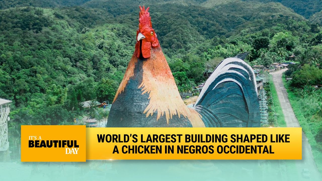 World’s largest building shaped like a chicken in Negros Occidental ...