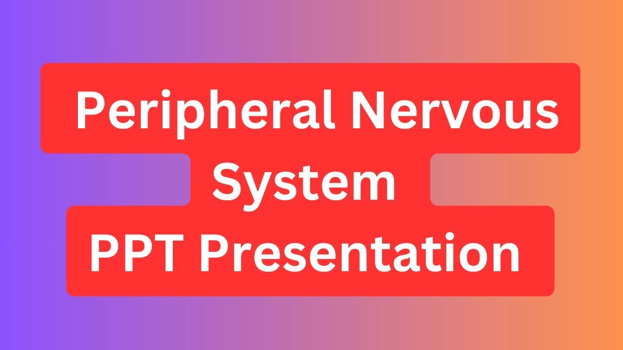 Peripheral Nervous System PPT Presentation Seminar Download: Definition ...