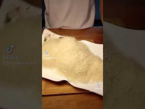 DÜNYANIN EN GÜZEL KÜNEFE TARİFİ MUTLAKA DENEMELİSİNİZ
