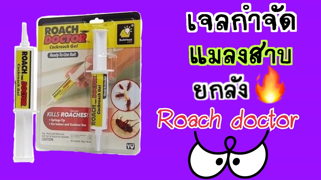 เจล💥ฆ่าแมลงสาบยกลัง roach doctor - YouTube