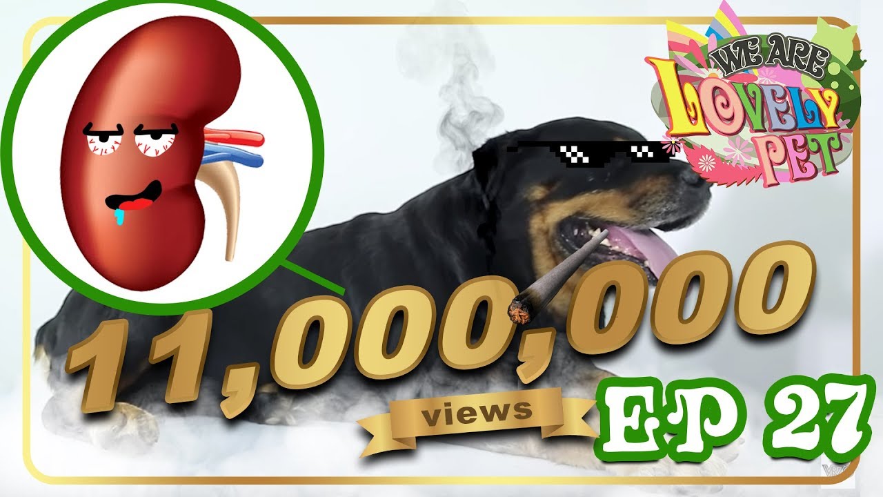 We Are Lovely Pet - "พ่อมีไต!!!" [Ep.27] 18+ l VRZO - YouTube