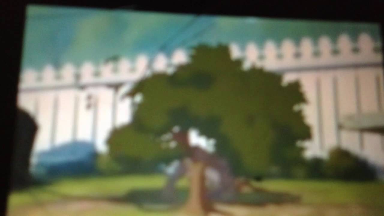 A world without fences (Korean) - YouTube