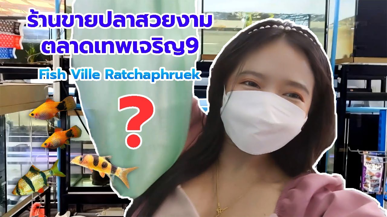 ร้านปลาสวยงามตลาดเทพเจริญ9 Fish Ville - YouTube