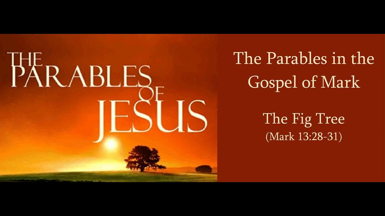 Sunday's Message: The Parables of Jesus - The Fig Tree (Mark 13:28-31 ...