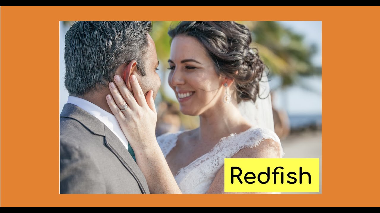 Miami Wedding Photographer at Redfish by Chef Adrianne - YouTube