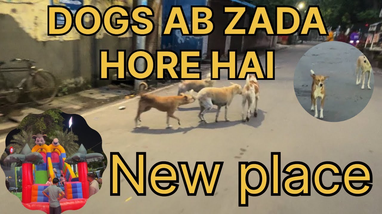 Full power come back.. DAILY VLOGG START..🤩🤩😜 - YouTube