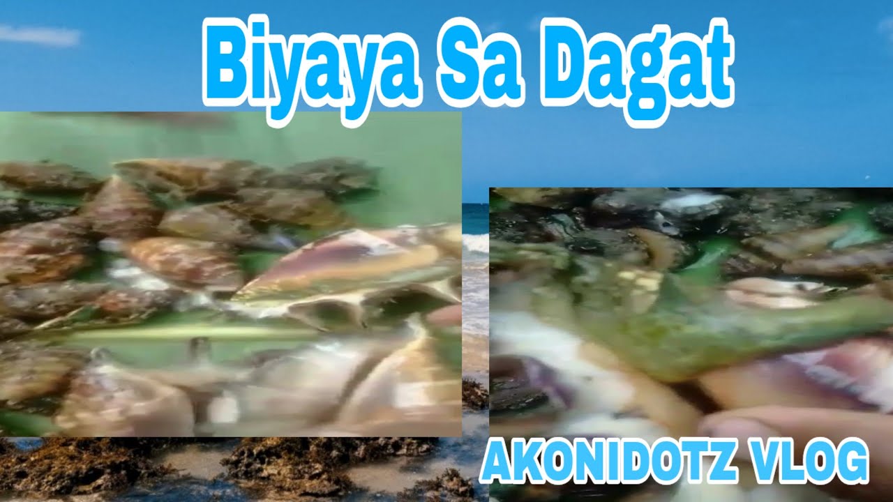 Biyayang Galing sa Dagat/Buhay Probinsya/Different Kinds of Varieties ...
