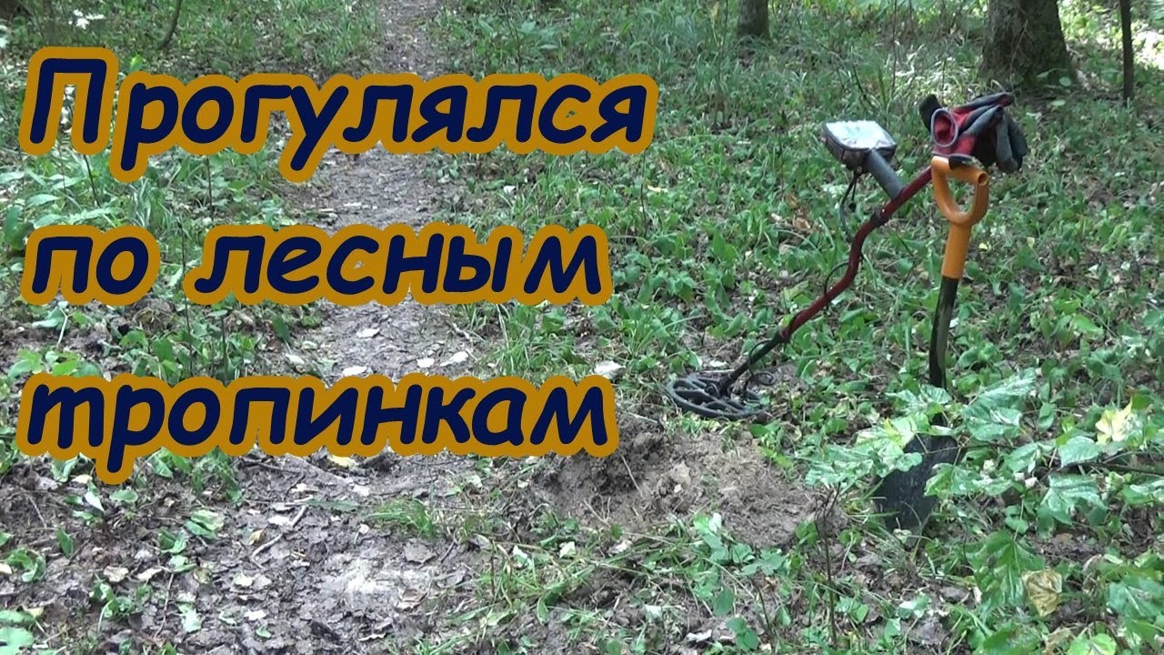 Находки с лесных тропинок - YouTube