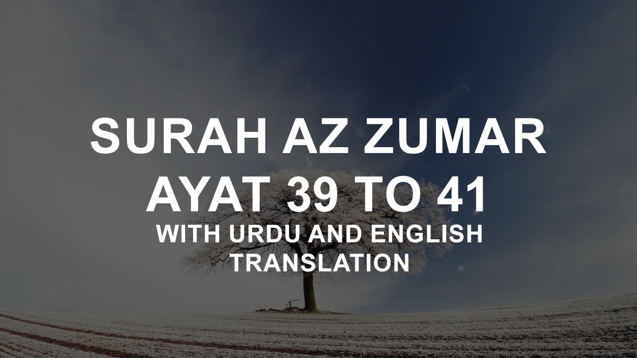 Surah Az Zumar Ayat Number (39 to 41) with Urdu and English Translation ...
