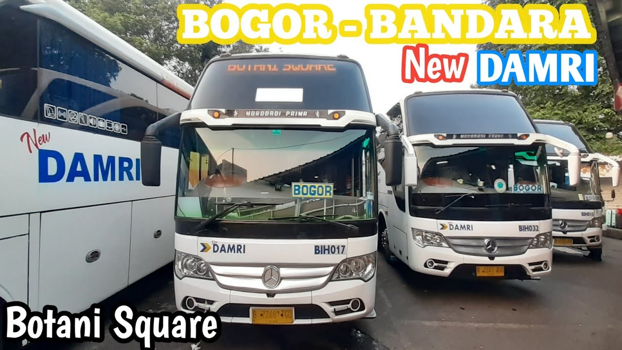 Shuttle BCA Bogor New DAMRI Bogor - Bandara Soekarno hatta - YouTube