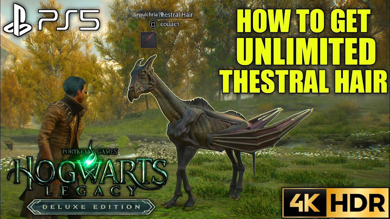 How to Get Unlimited Thestral Hair HOGWARTS LEGACY How to Get Unlimited ...