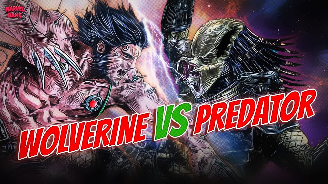 Is Wolverine vs. Predator Canon? - YouTube