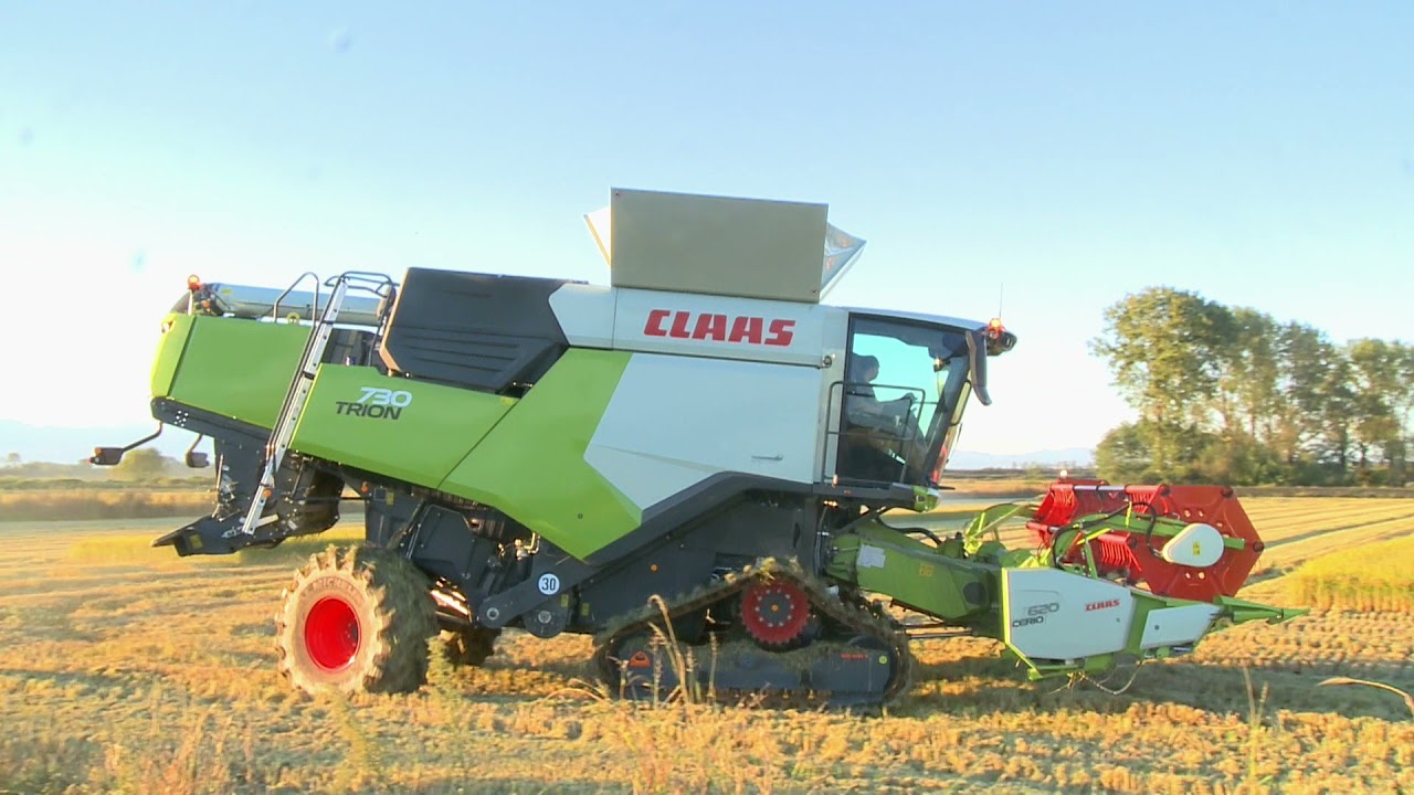 Claas Trion 730 la nuovissima media a versione riso-New Claas trion 730 ...