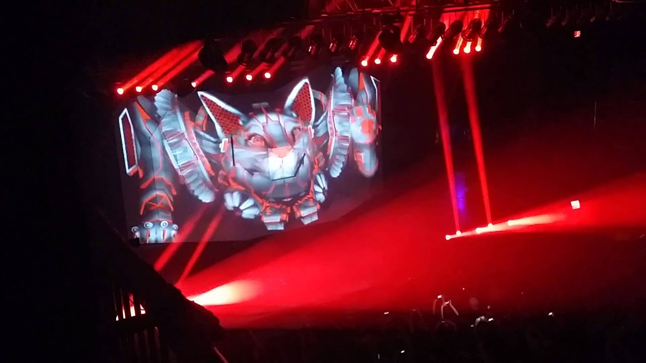 Robot Kitty - Excision 2015 - YouTube