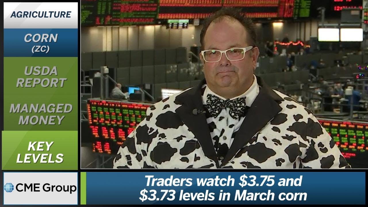 December 10 Grains Commentary: Scott Shellady - YouTube