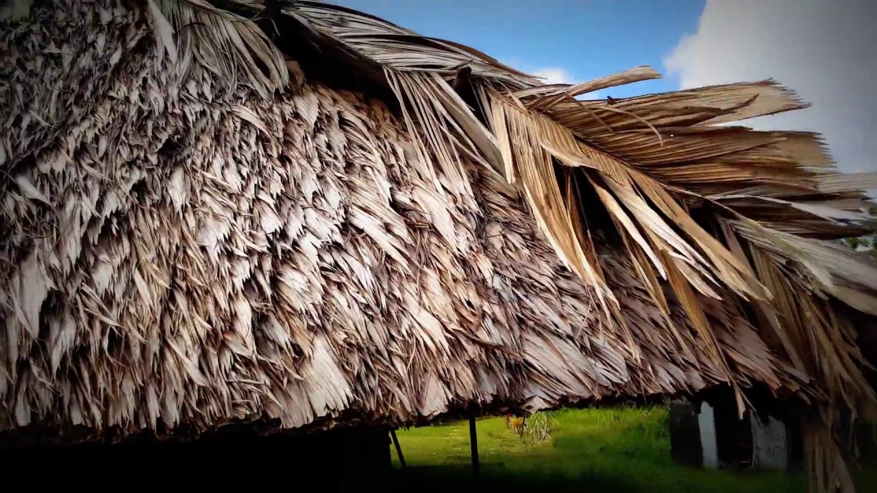 Village amérindien palikur Norino (Guyane) - YouTube