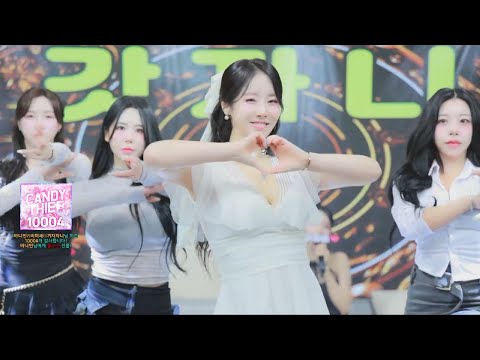 Korean Pandacrew JCrewno1 20250806 ep3 #koreanlive #fancam #dance  #pandatv #flextv #KoreanBJ