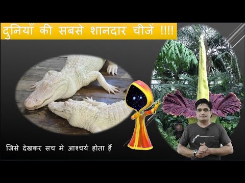 Duniya ki sabse shandar chijen | World's 11 Most Amazing Things | - YouTube