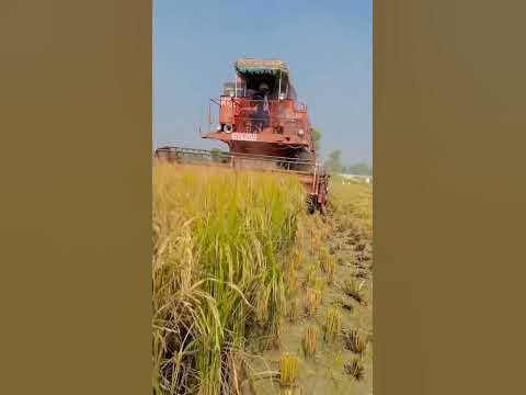 M132 - YouTube