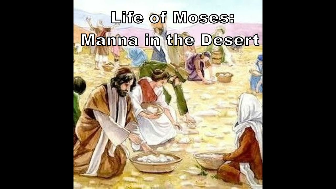 Manna In The Desert