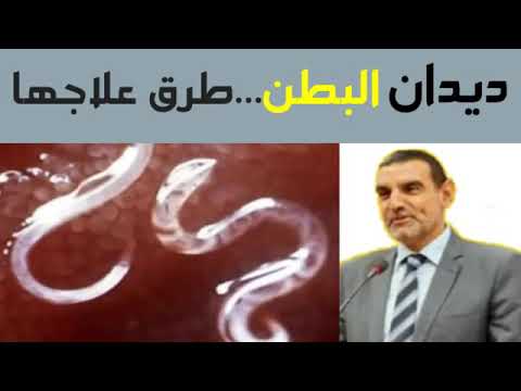 طرق كيفية علاج ديدان البطن الدكتور محمد الفايد
