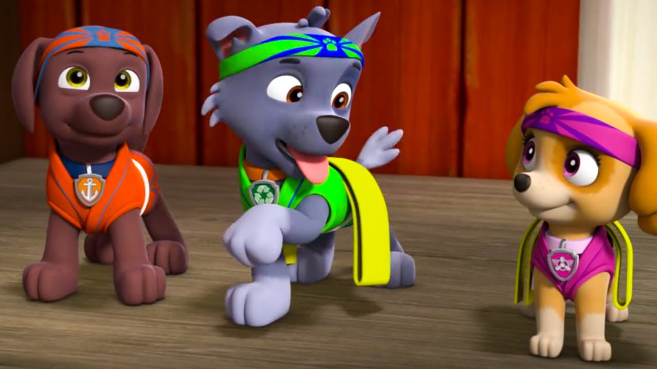 PAW Patrol On A Roll vs Little Kitten & Friends - Learn with the cutest ...