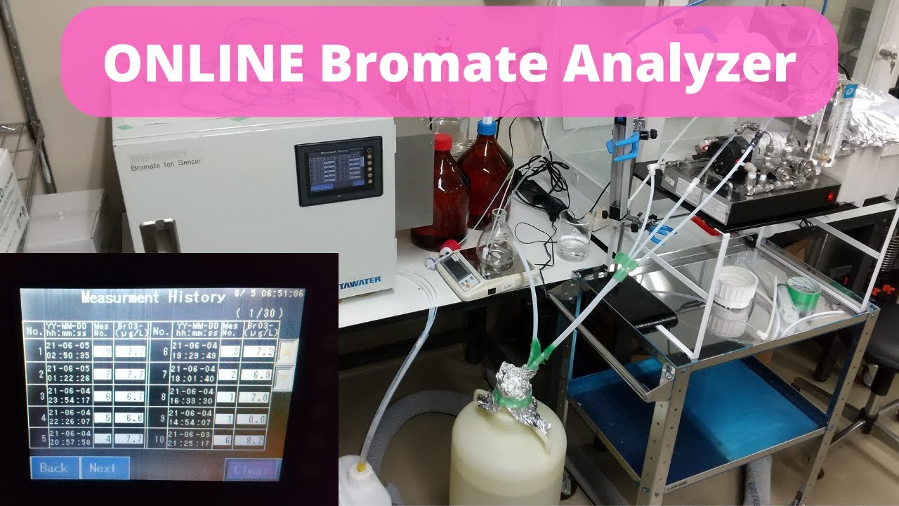 Bromate Ion