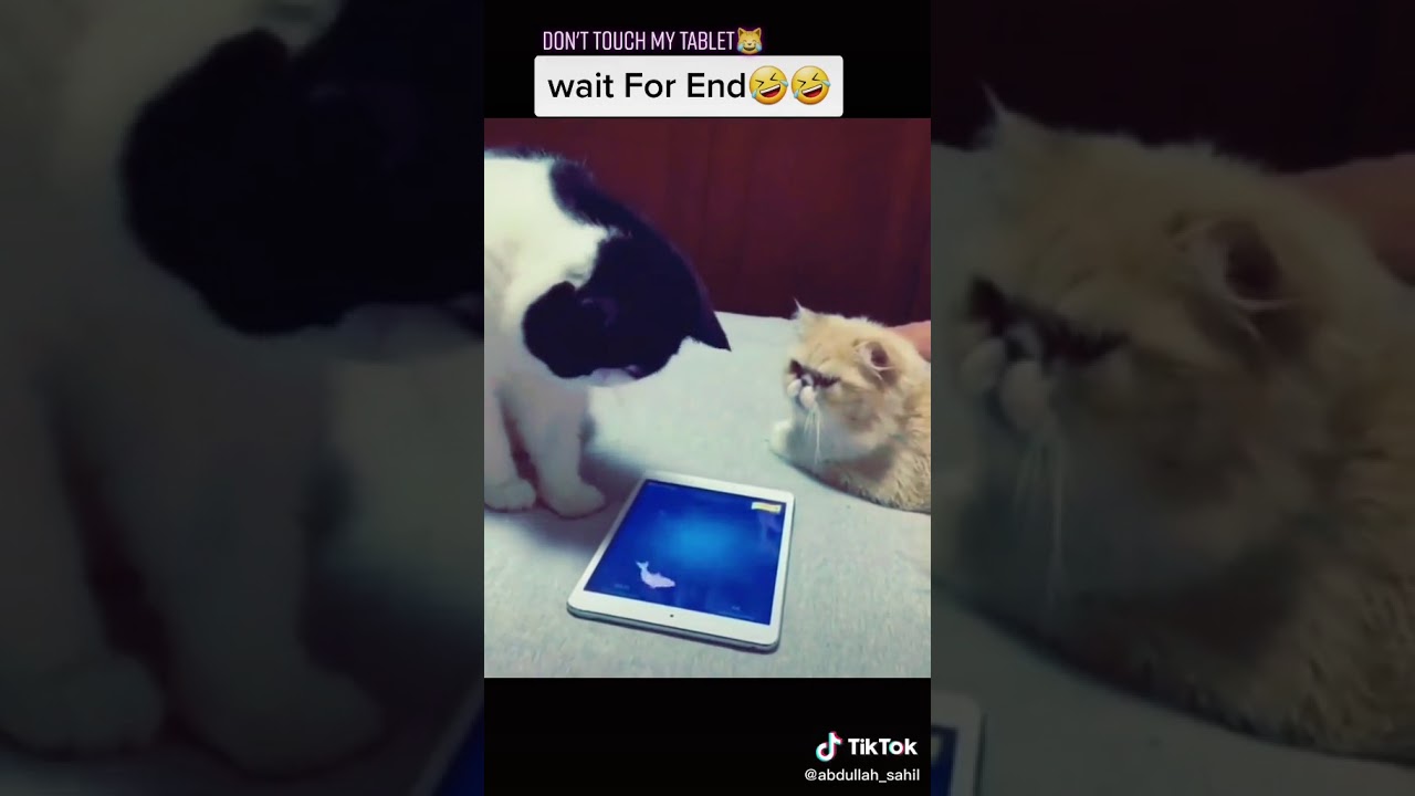 Don't touch my tablet please watch this video - YouTube