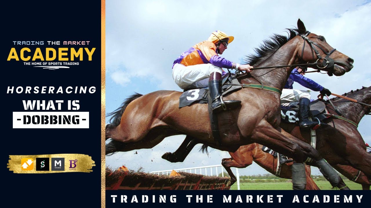 What Is Dobbing - YouTube