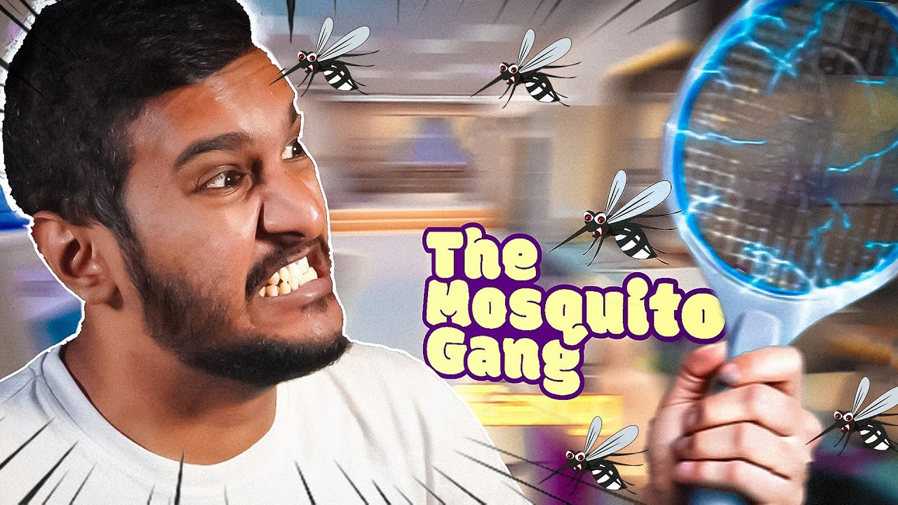 මදුරුවෝ vs. මිනිසා | The Mosquito Gang with The Bois - YouTube