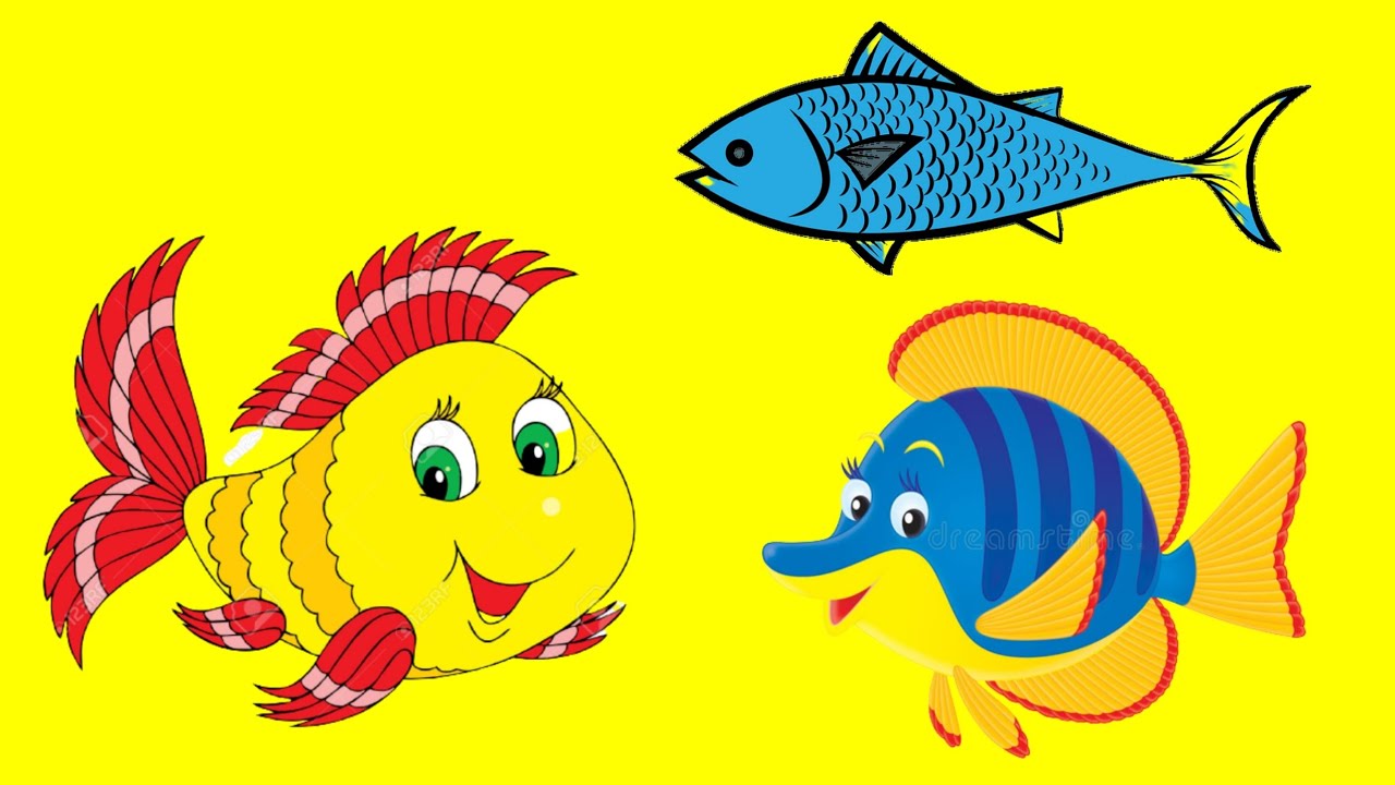 Machli Jal Ki Rani Hai Song 4 | Hindi Rhymes and Kids Songs | Nursery ...
