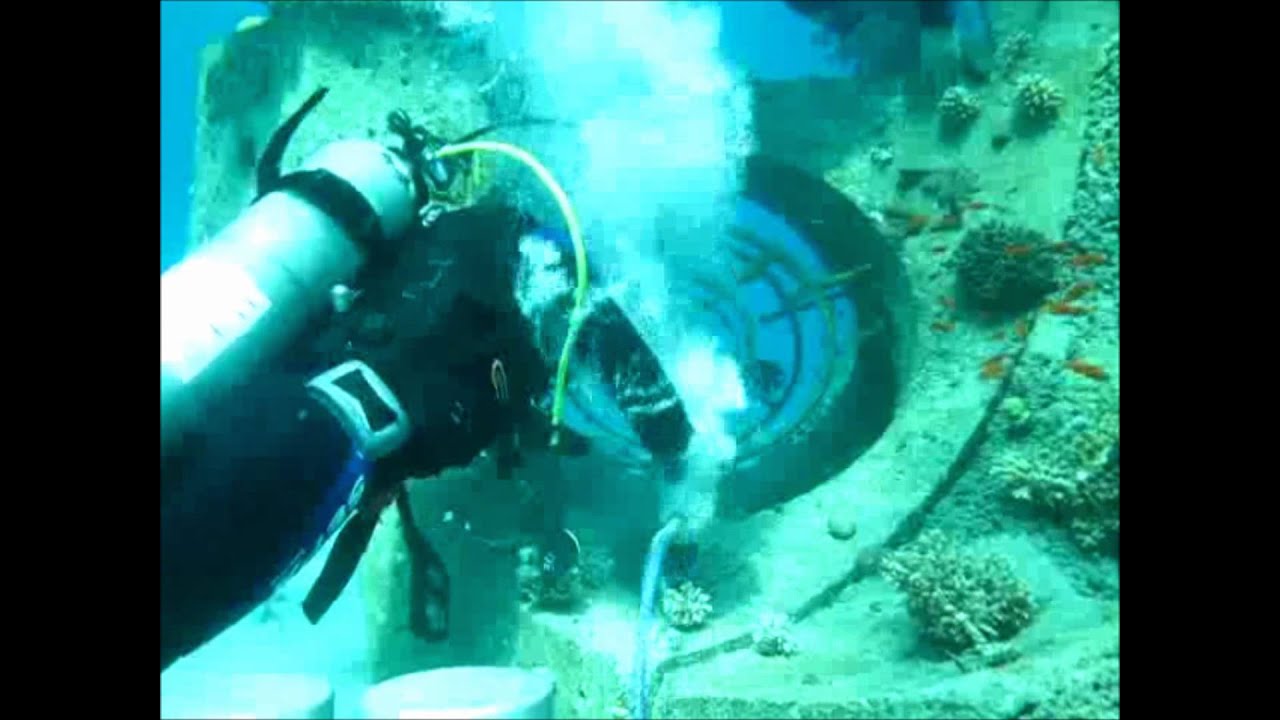 Tamar Artificial Reef, Deployment and Transplantation - YouTube