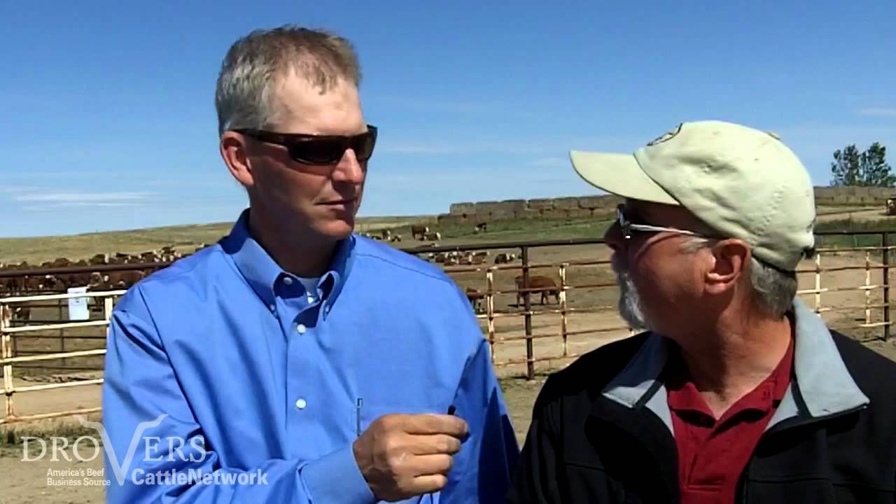 Douglas Olsen, of Olsen Ranches - YouTube