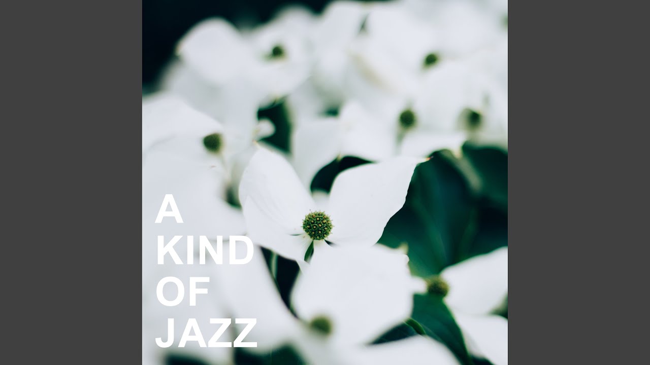 Neki Hoeky - YouTube