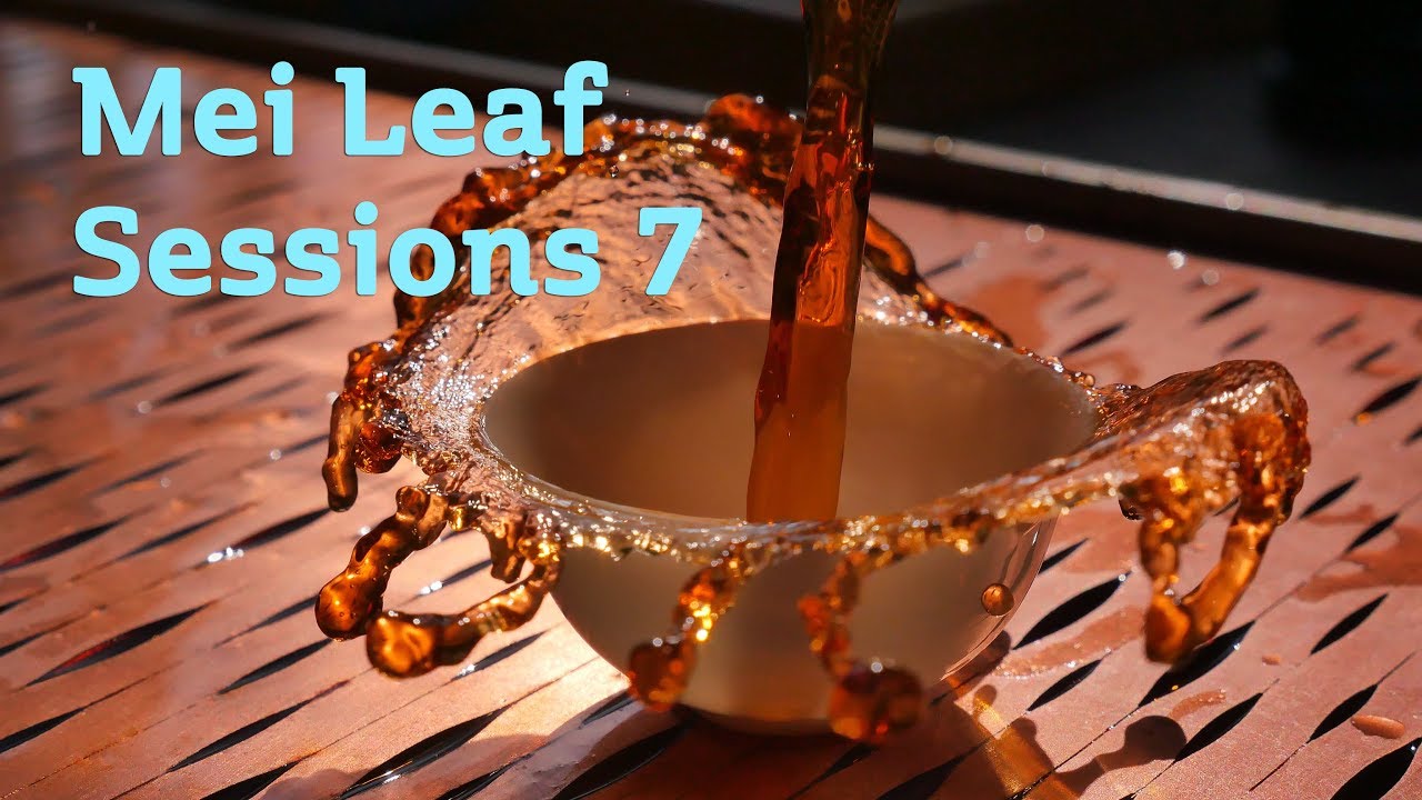 Mei Leaf Sessions 7 - LIVE Tea Gathering - YouTube