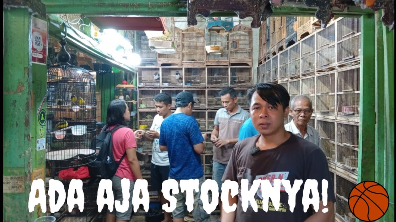 Ada aja Stocknya! - YouTube