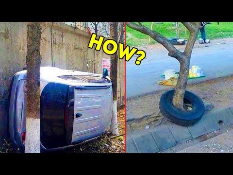 Wait... What? How Did That Happen? 「 funny photos 」 - YouTube
