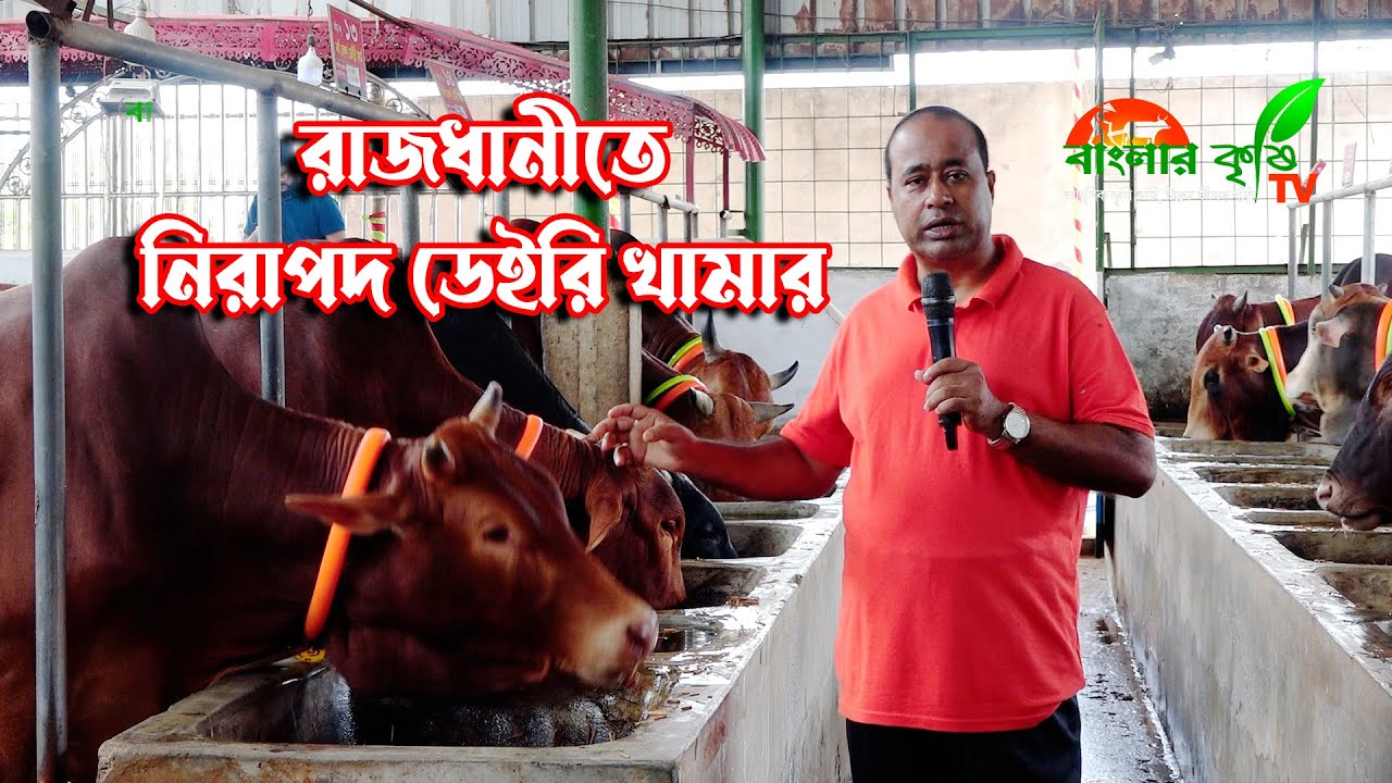 North Bengal Dairy Farm । নর্থ বেঙ্গল ডেইরী । রাজধানীতে নিরাপদ ডেইরি ...