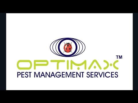 optimax pest management services gujarat - YouTube