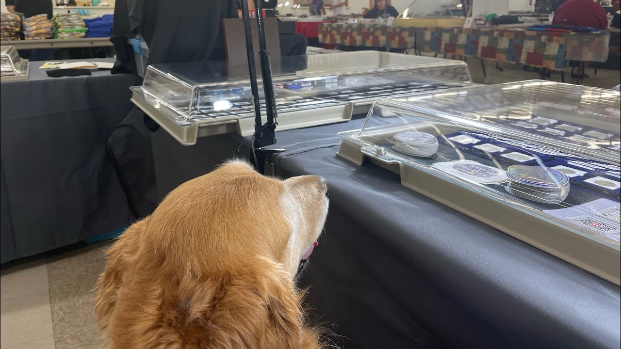 The ruff life at the Grove Coin Show - YouTube
