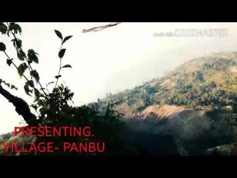 Sort, video view point Panbu - YouTube