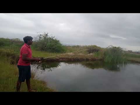 anji fishing channel🐸🐸🐸koramenu 🎣🎣🎣 please subscribe friends - YouTube