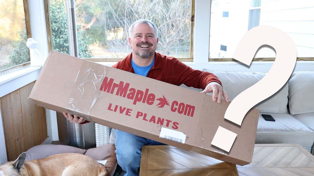 These Are Plants That I Really Wanted - YouTube