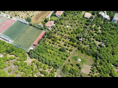 ΠΩΛΕΙΤΑΙ ΠΑΡΑΛΙΑΚΟ ΟΙΚΟΔΟΜΗΣΙΜΟ ΟΙΚΟΠΕΔΟ ΣΤΗΝ ΤΕΜΕΝΗ ΑΙΓΙΟΥ 1000 Τ/Μ € ...