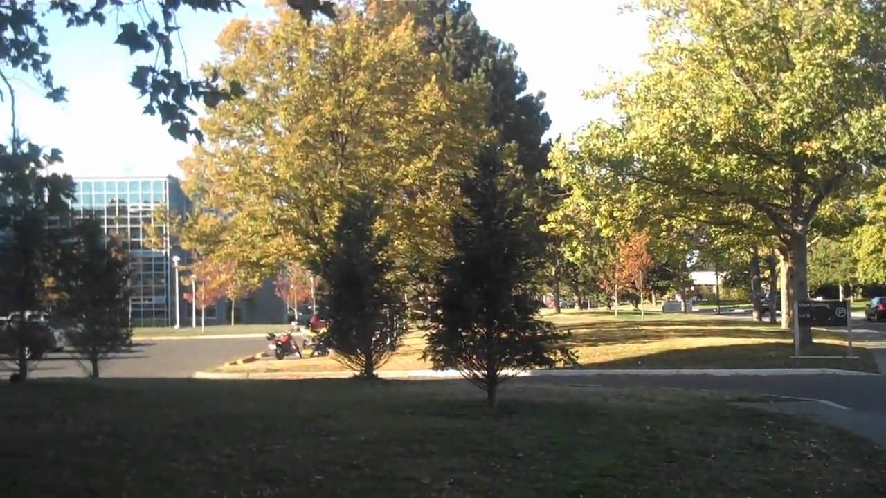 A Short Tour Around The UVic Campus - YouTube