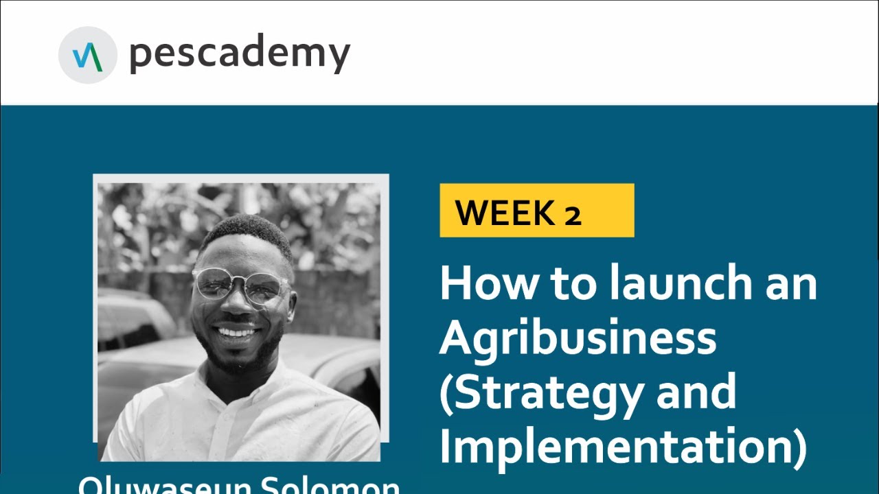 How to launch an Agribusiness (Strategy and Implementation) - YouTube