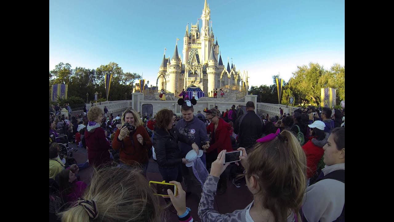 Marriage Proposal in front of Cinderella's Castle at Magic Kingdom Walt ...