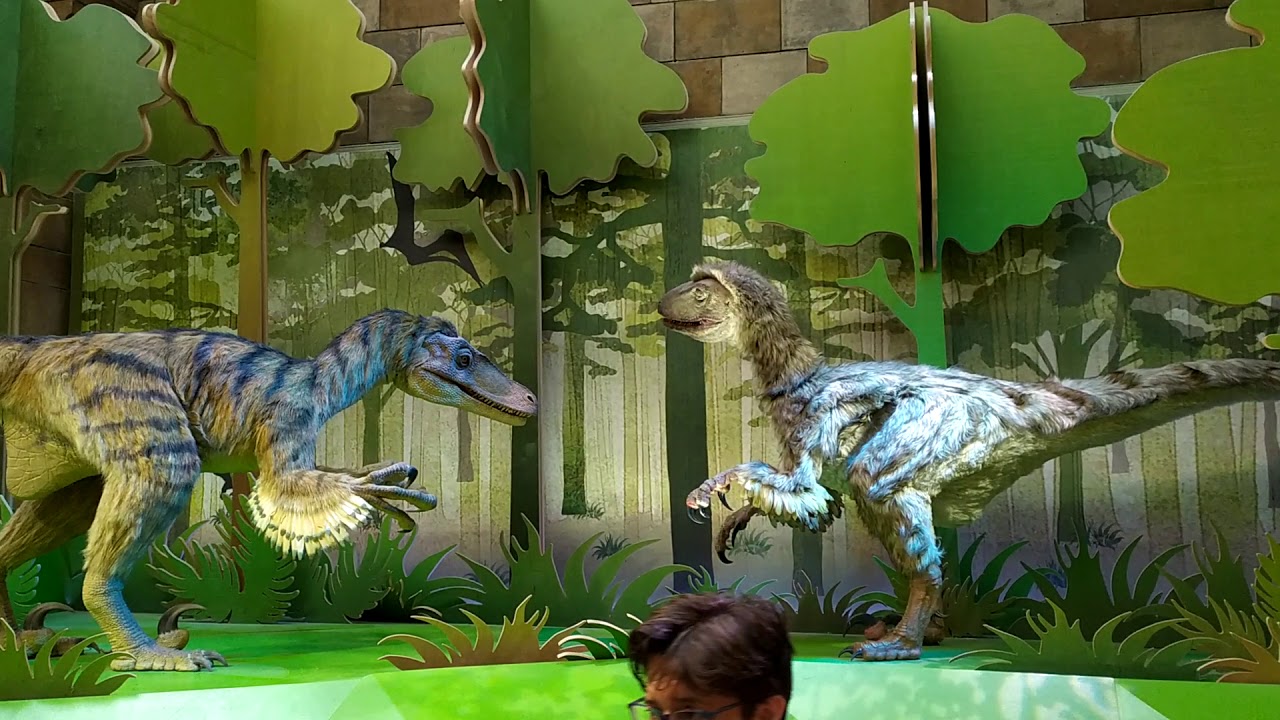 Dino Cafe National History Museum London - YouTube