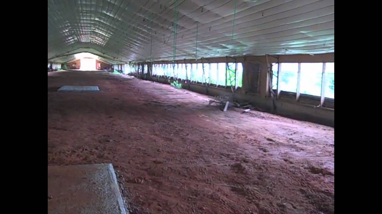 Extraordinary Disc Golf Holes lula, Ga Chicken coop - YouTube